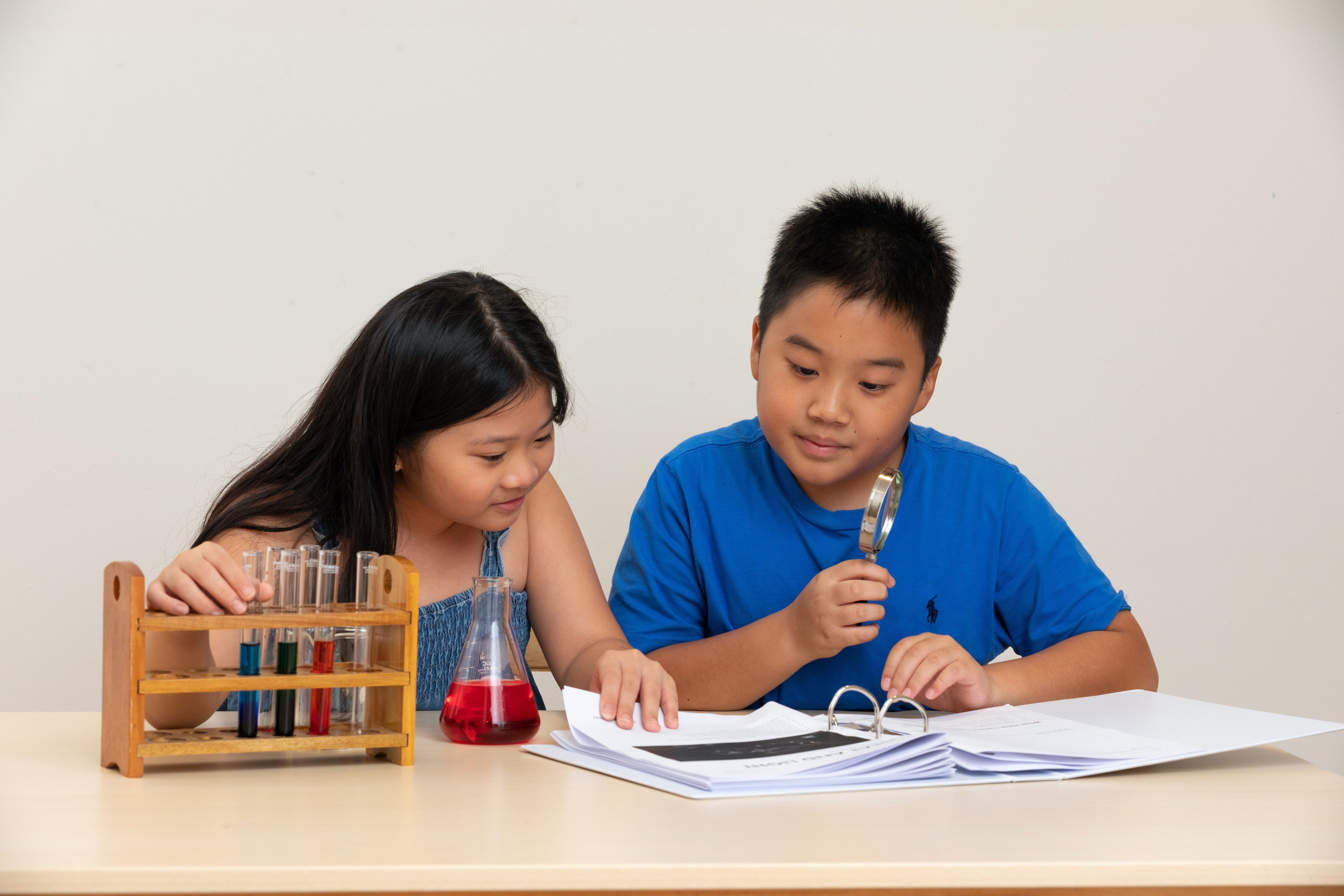 4 Important Strategies For Answering Open-ended Science Questions